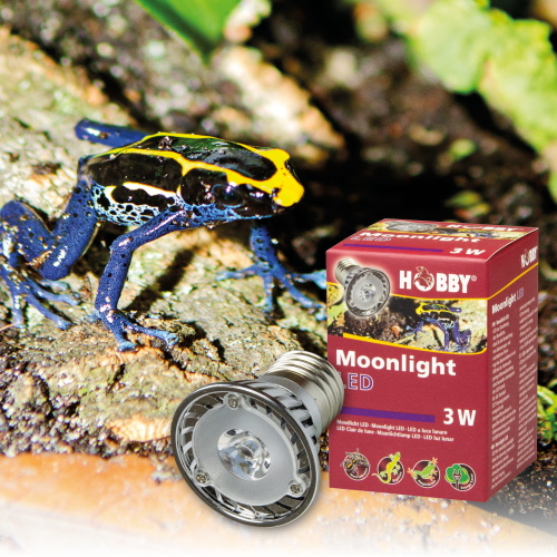 Hobby Moonlight LED - Mondlichtlampe für Terrarien | TerraristikShop.net