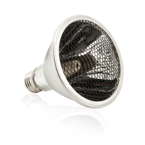 Solar Raptor Heating Lamp 60W | Terrariumheizung | Technik ...