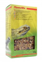 Lucky Reptile | TerraristikShop.net