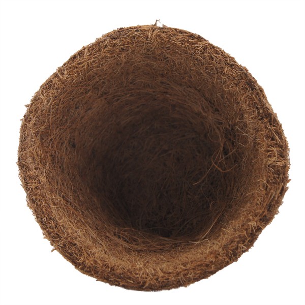 Kokospflanztöpfe von Dragon – Pflanzgefäße für Terrarien ...