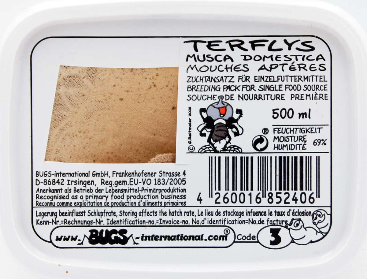 Terfly (Stummelfliegen/ Krullfliegen) Zuchtansatz flugunfähig ...
